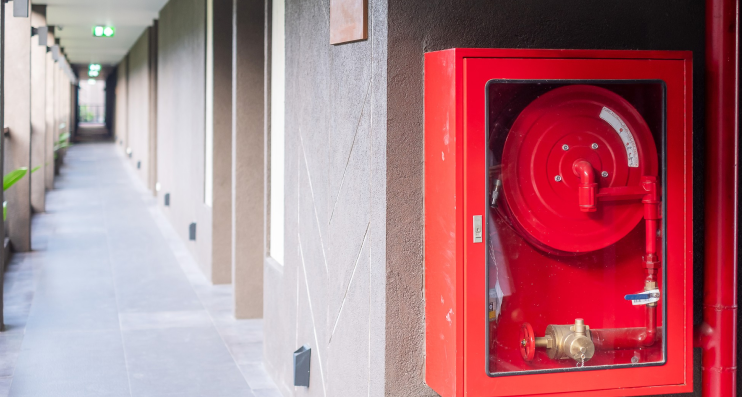 BIE: ¿Qué es y cómo se denomina?